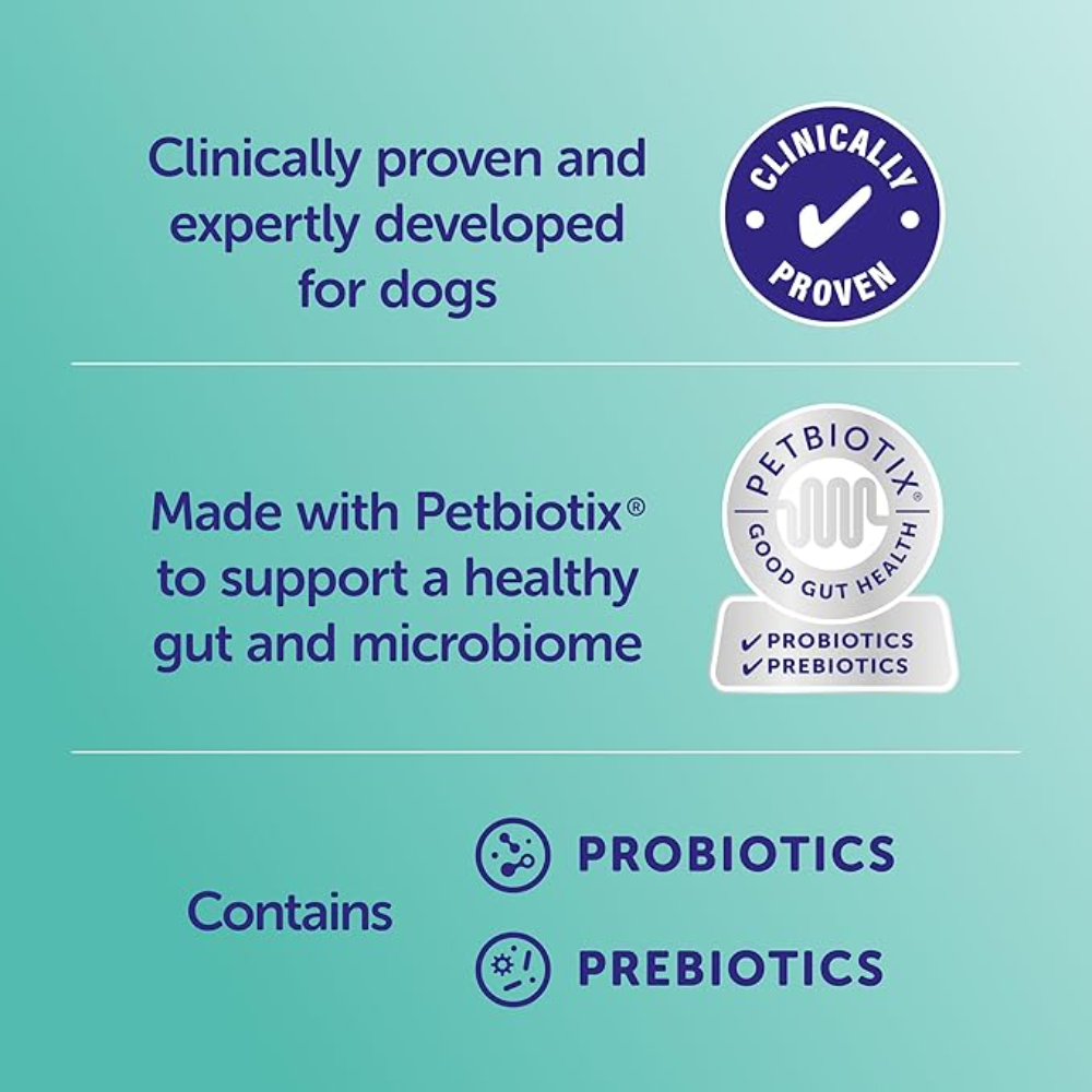 Pro Kolin Plus Probiotic Paste Dogs And Cats For Short Term ...