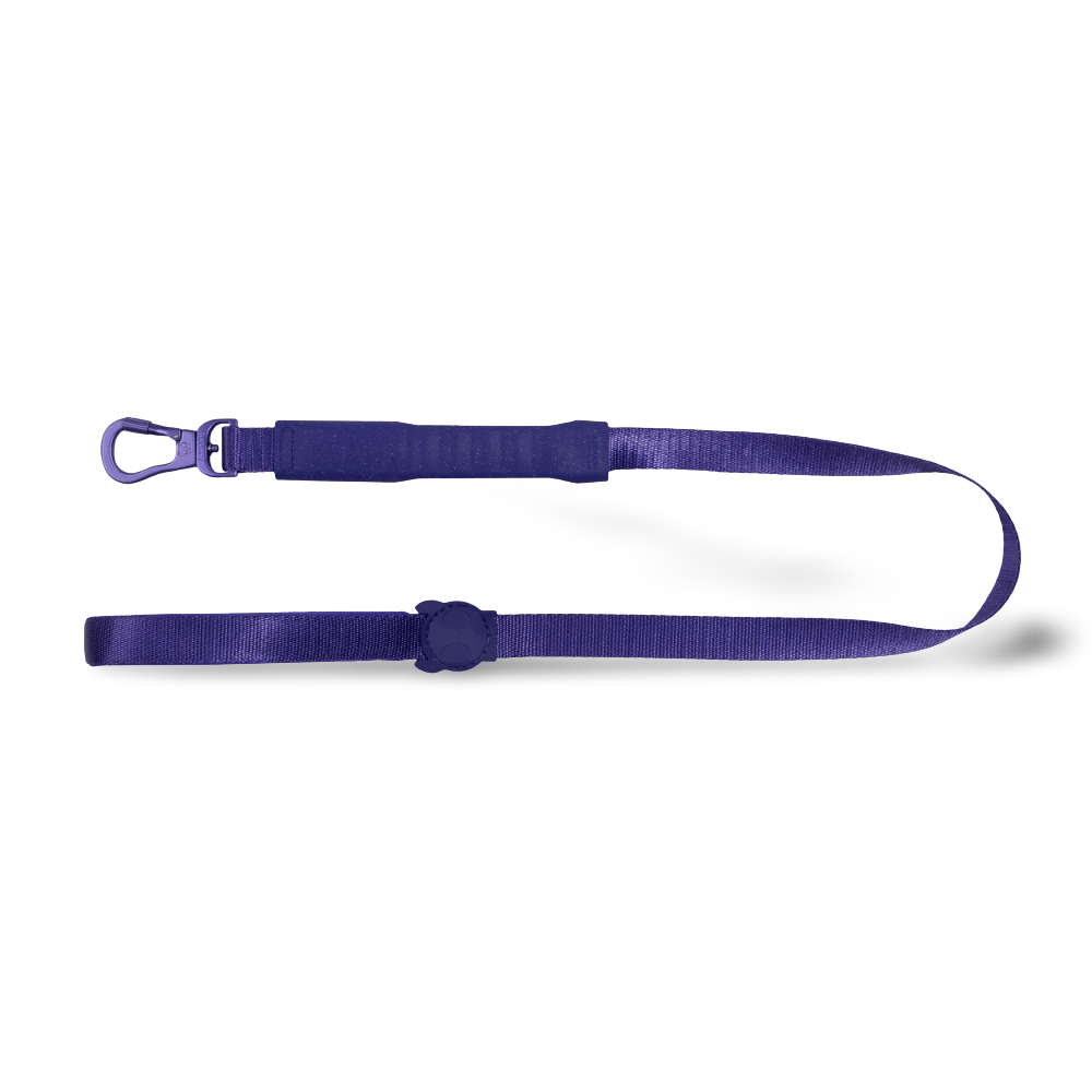 1m Air Leash Violet - Online Pet Shop | Food, Toys, Flea & Worming ...
