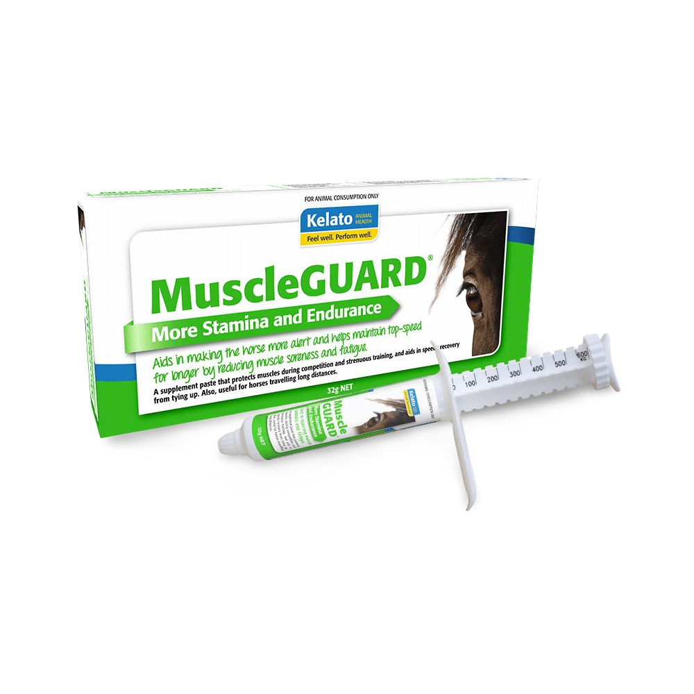 Muscle Guard Paste - Online Pet Shop | Food, Toys, Flea & Worming | Pet ...